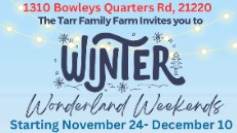DIY Just Because: Tarr Family Farm Winter Wonderland - St. Jude